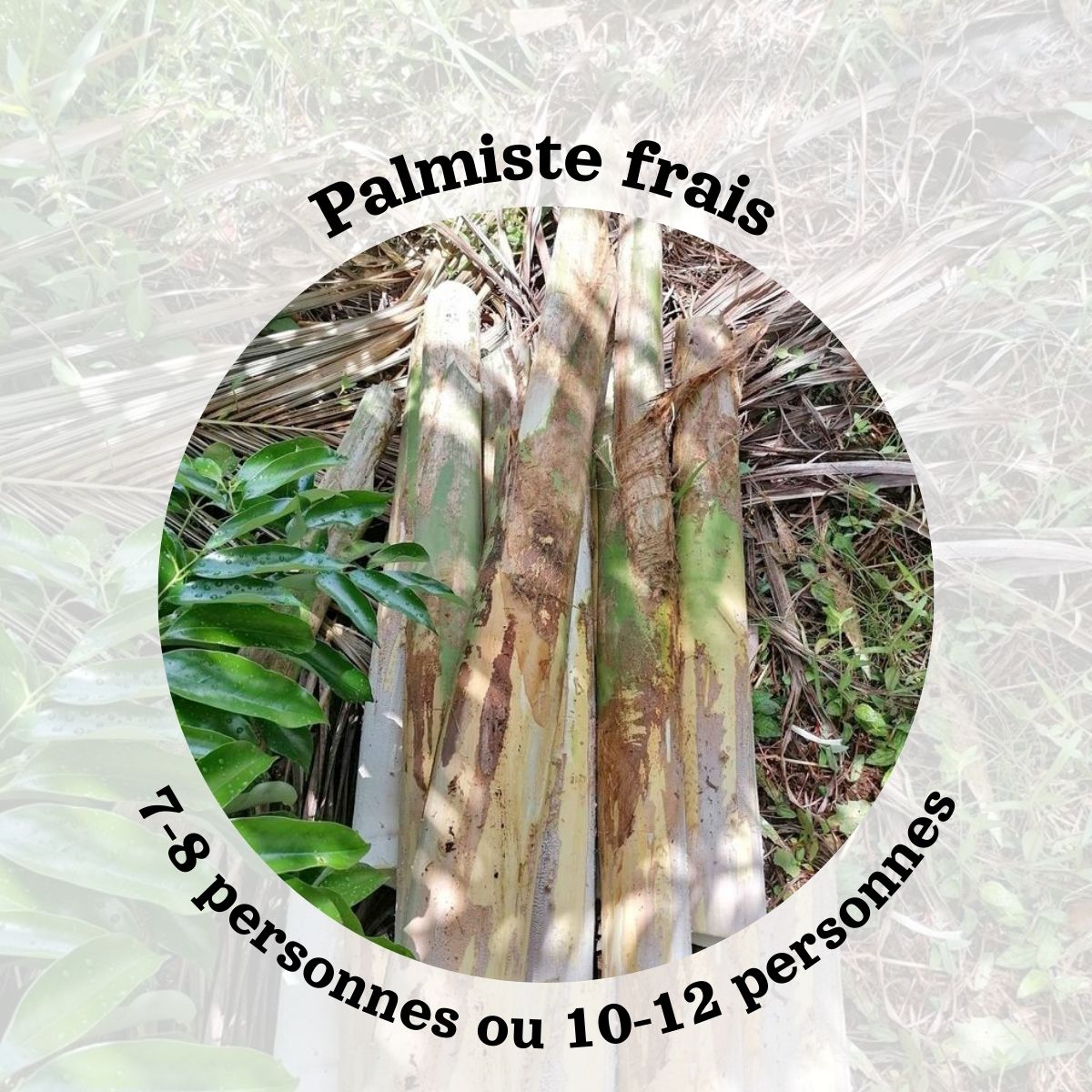 Chou Palmiste Pejibaye Frais | Planté à La Réunion | ChezVous.re ...